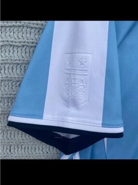 adidas | Shirts | Adidas Argentina Afa 893 Soccer Jersey Mens Large L ...